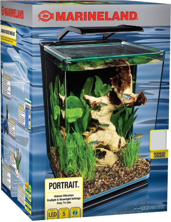 5 Gallon Fish Tank (Free Shipping) | Chewy