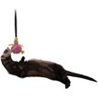 MARSHALL Bungee Ferret Toy, Duck - Chewy.com