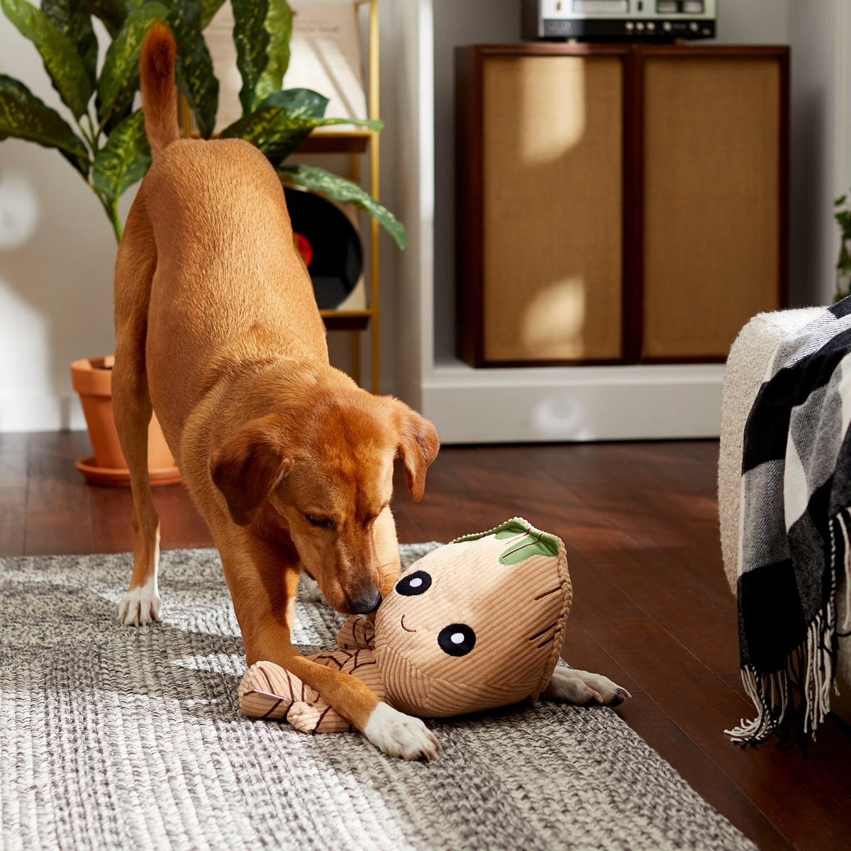 Discontinued - MARVEL 's Groot Plush Squeaky Dog Toy, Medium/Large ...