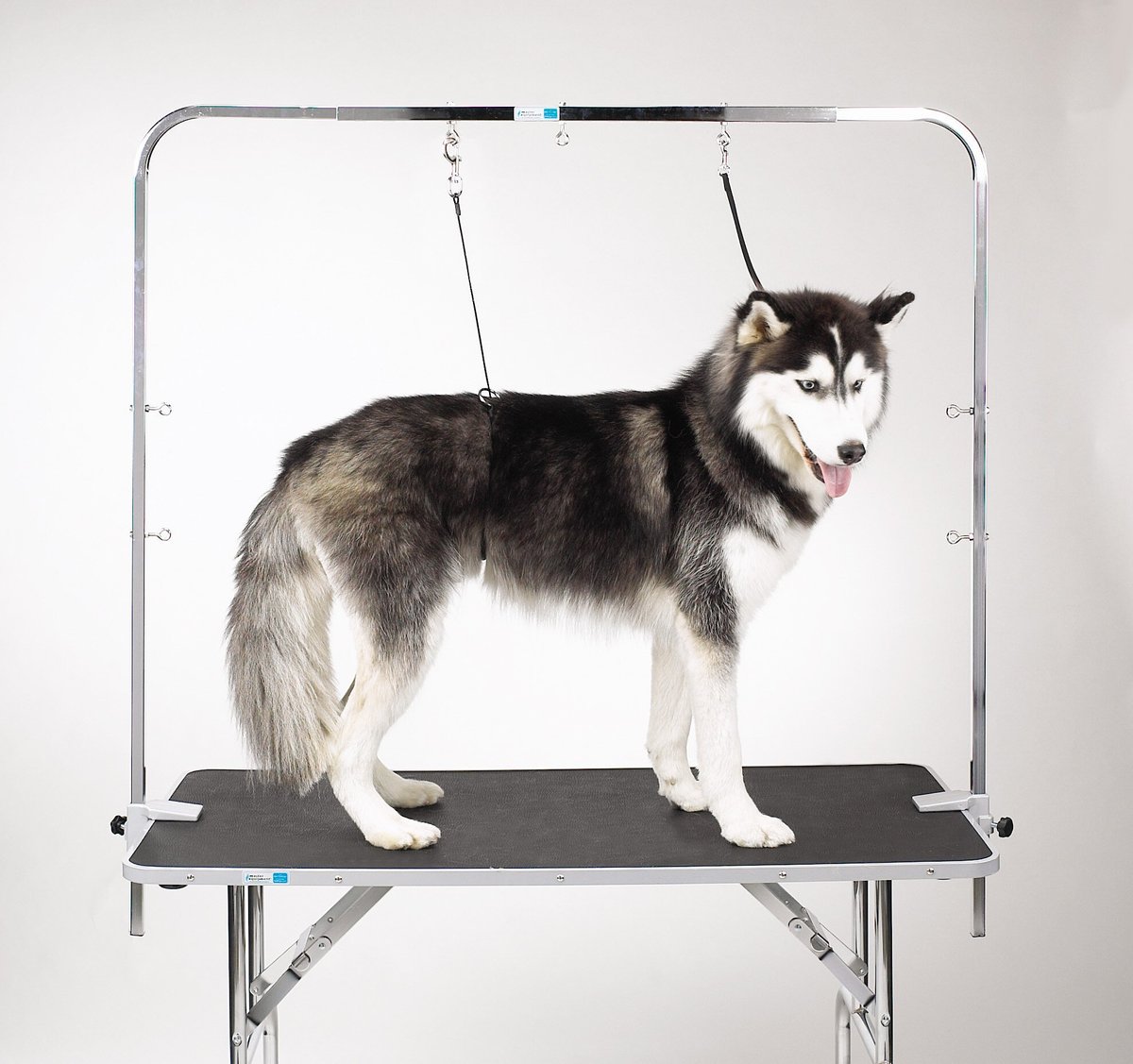 MASTER EQUIPMENT Overhead Dog Grooming Arm, Black - Chewy.com