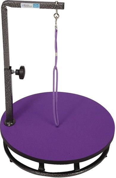 MASTER EQUIPMENT Small Dog & Cat Grooming Table, Purple - Chewy.com