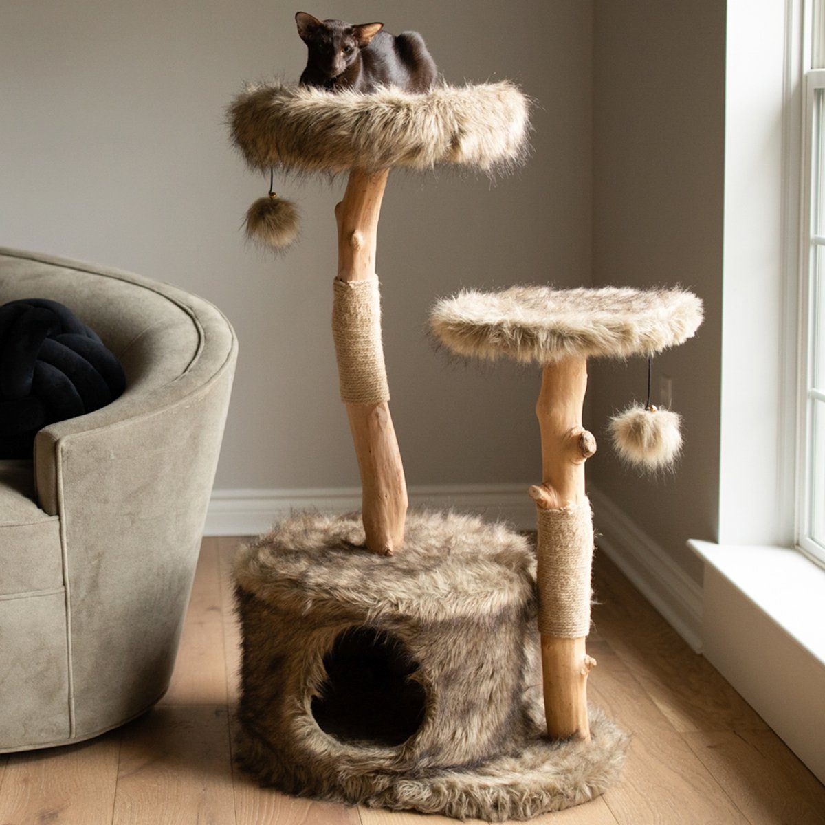 MAU Alba 43-in Modern Wooden Cat Tree & Condo, Brown - Chewy.com
