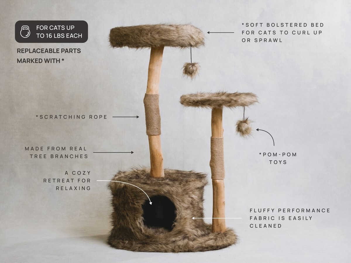 MAU Alba 43-in Modern Wooden Cat Tree & Condo, Brown - Chewy.com