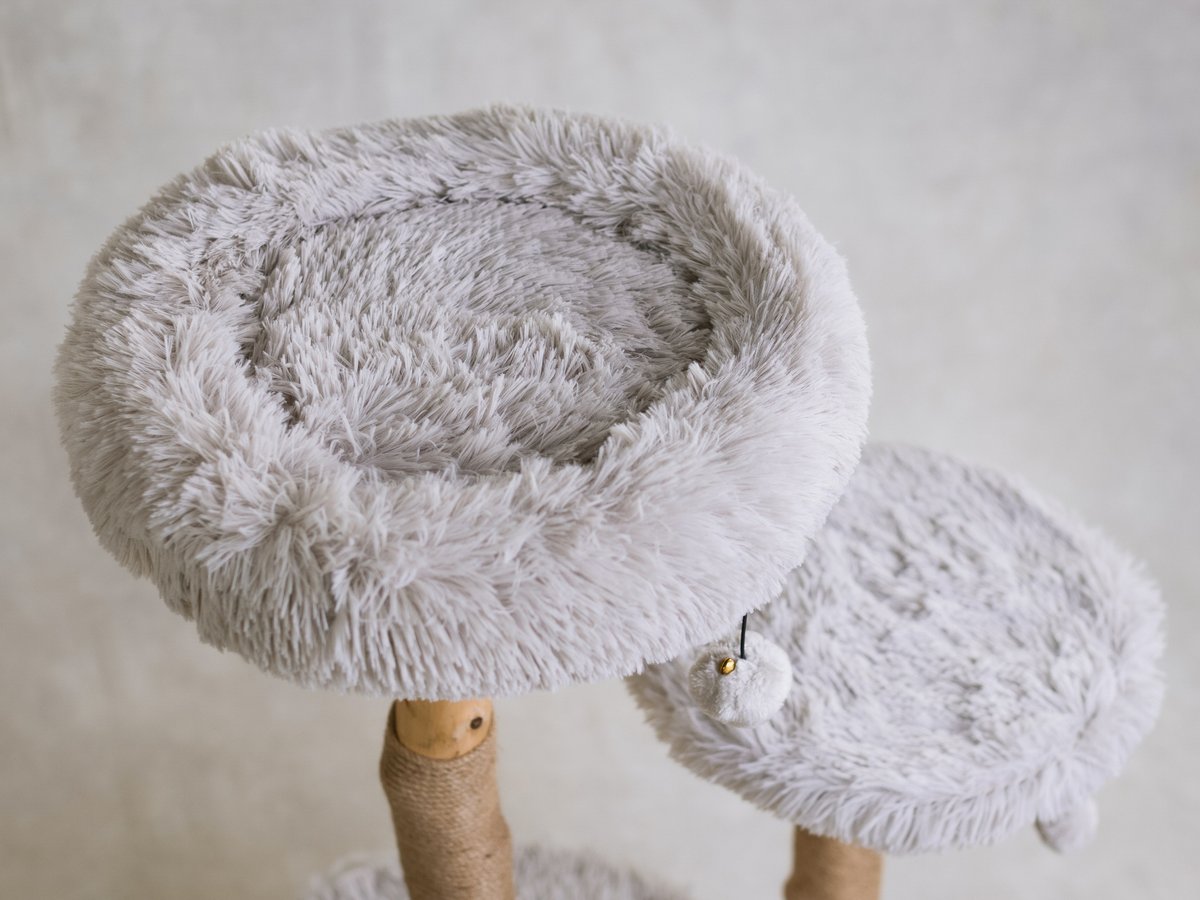 MAU Alba 43-in Modern Wooden Cat Tree & Condo, Gray - Chewy.com