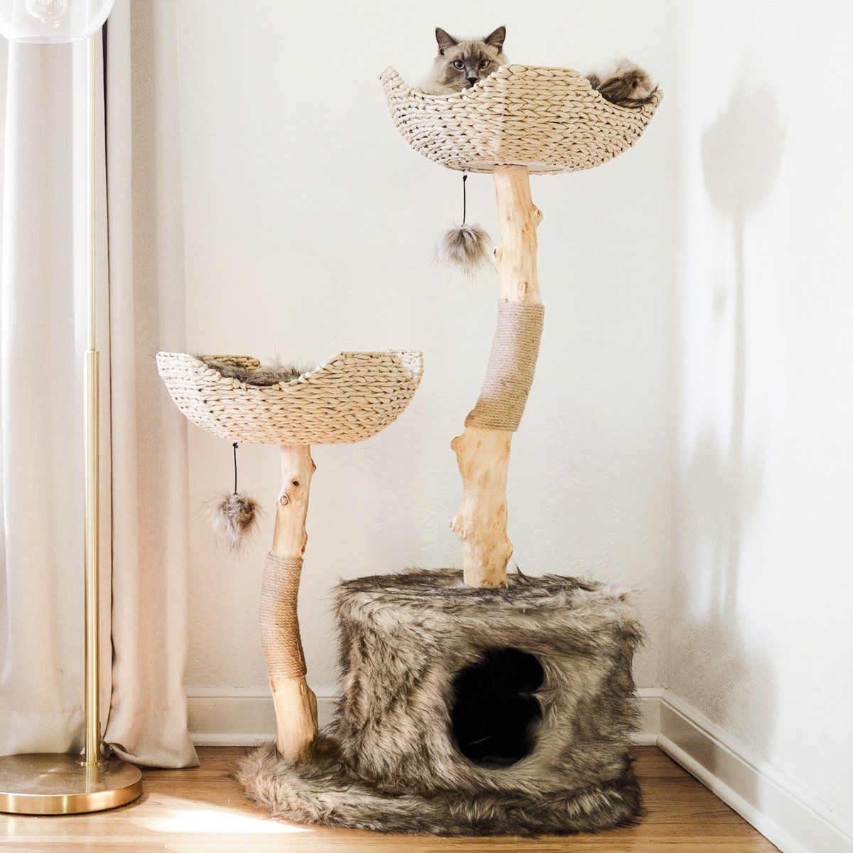 MAU Cento 46-in Modern Wooden Cat Tree & Condo, Brown - Chewy.com