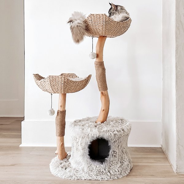 MAU Cento 46-in Modern Wooden Cat Tree & Condo, Gray - Chewy.com