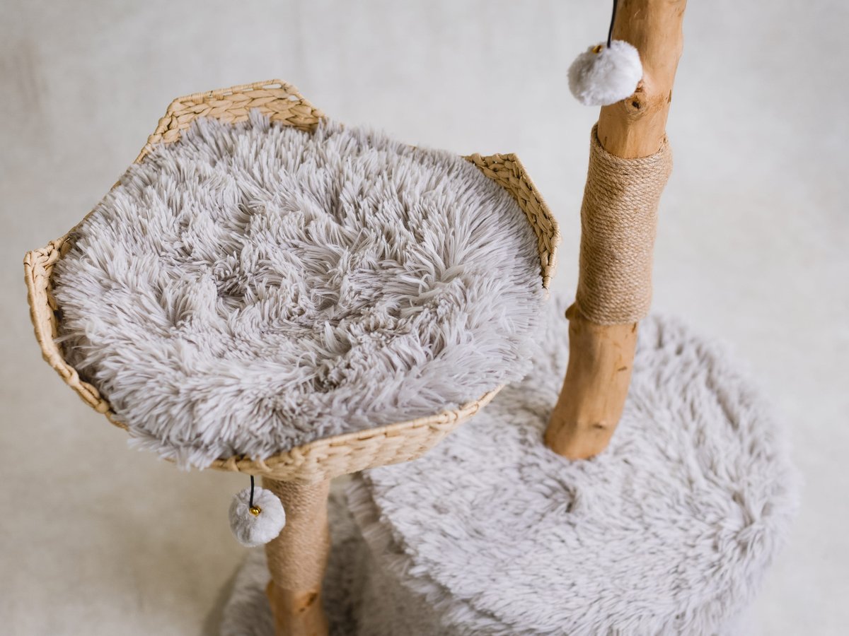 MAU Cento 46-in Modern Wooden Cat Tree & Condo, Gray - Chewy.com