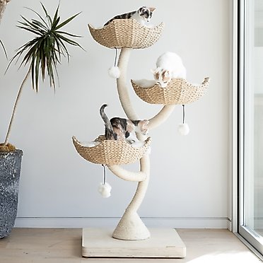 Black Modern Cat Tree (Free Shipping) | Chewy