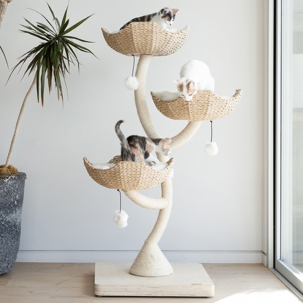 MAU Ivy 3, 53-in Modern Cat Tree, Natural - Chewy.com