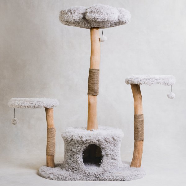 MAU Leone 50-in Modern Wooden Cat Tree & Condo, Gray - Chewy.com