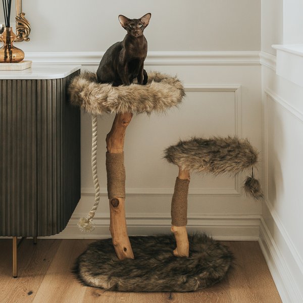MAU Rizzo 32-in Modern Wooden Cat Tree, Brown - Chewy.com