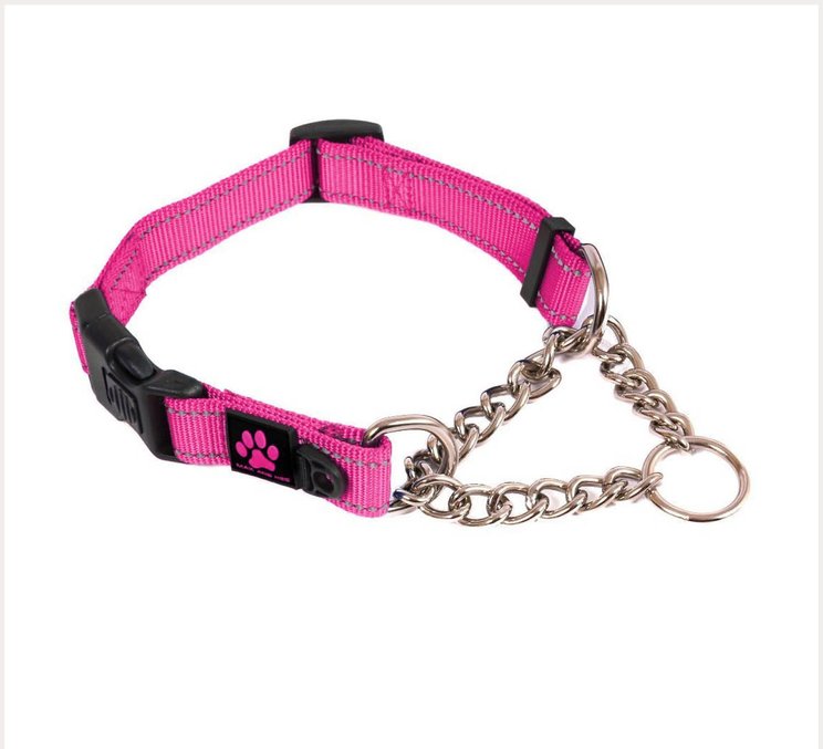 Max and Neo Dog Gear - Free shipping | Chewy