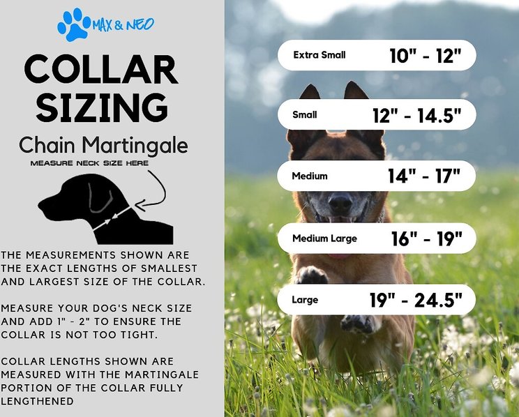 Max and Neo Dog Gear - Free shipping | Chewy