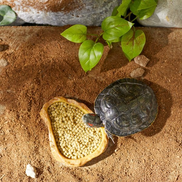 MAZURI Aquatic Turtle Food, 12-oz bag - Chewy.com