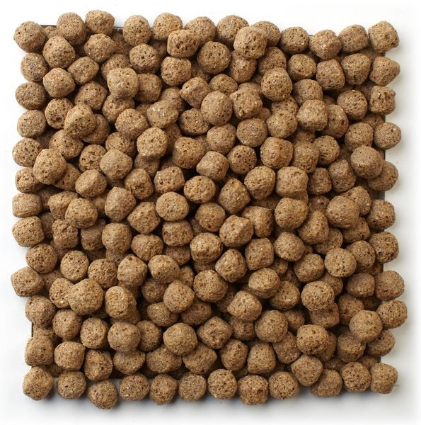 MAZURI Koi Platinum Ogata for Fish Over 12 Inches Food, 20-lb bag ...