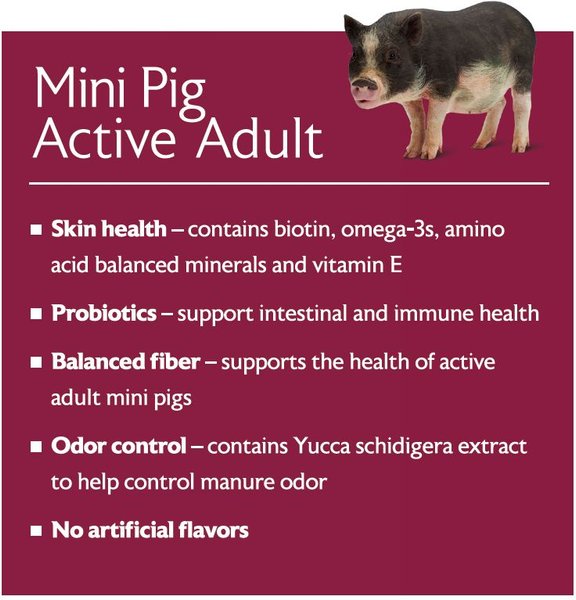 MAZURI Mini Pig Active Adult Food, 25-lb bag, bundle of 2 - Chewy.com