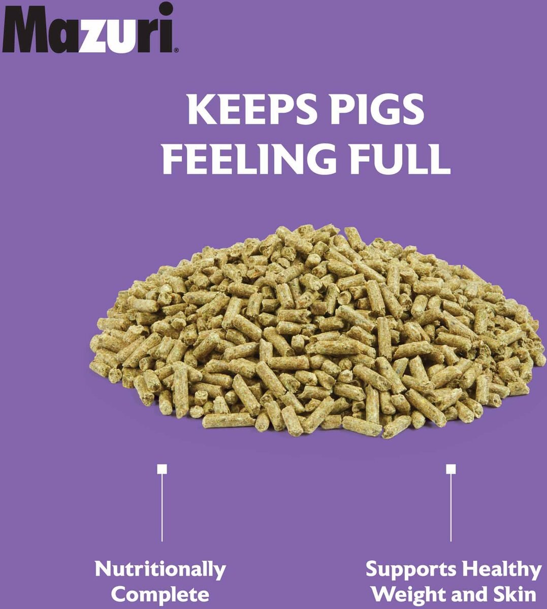 MAZURI Mini Pig Mature Maintenance Food, 25-lb bag - Chewy.com