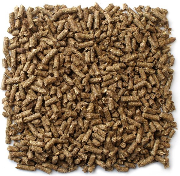 MAZURI Timothy Based Rabbit Food, 5-lb bag - Chewy.com
