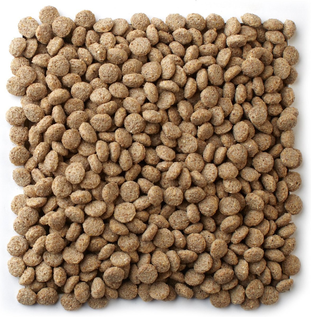 MAZURI Waterfowl Maintenance Floating Duck & Geese Feed, 12-lb bag ...