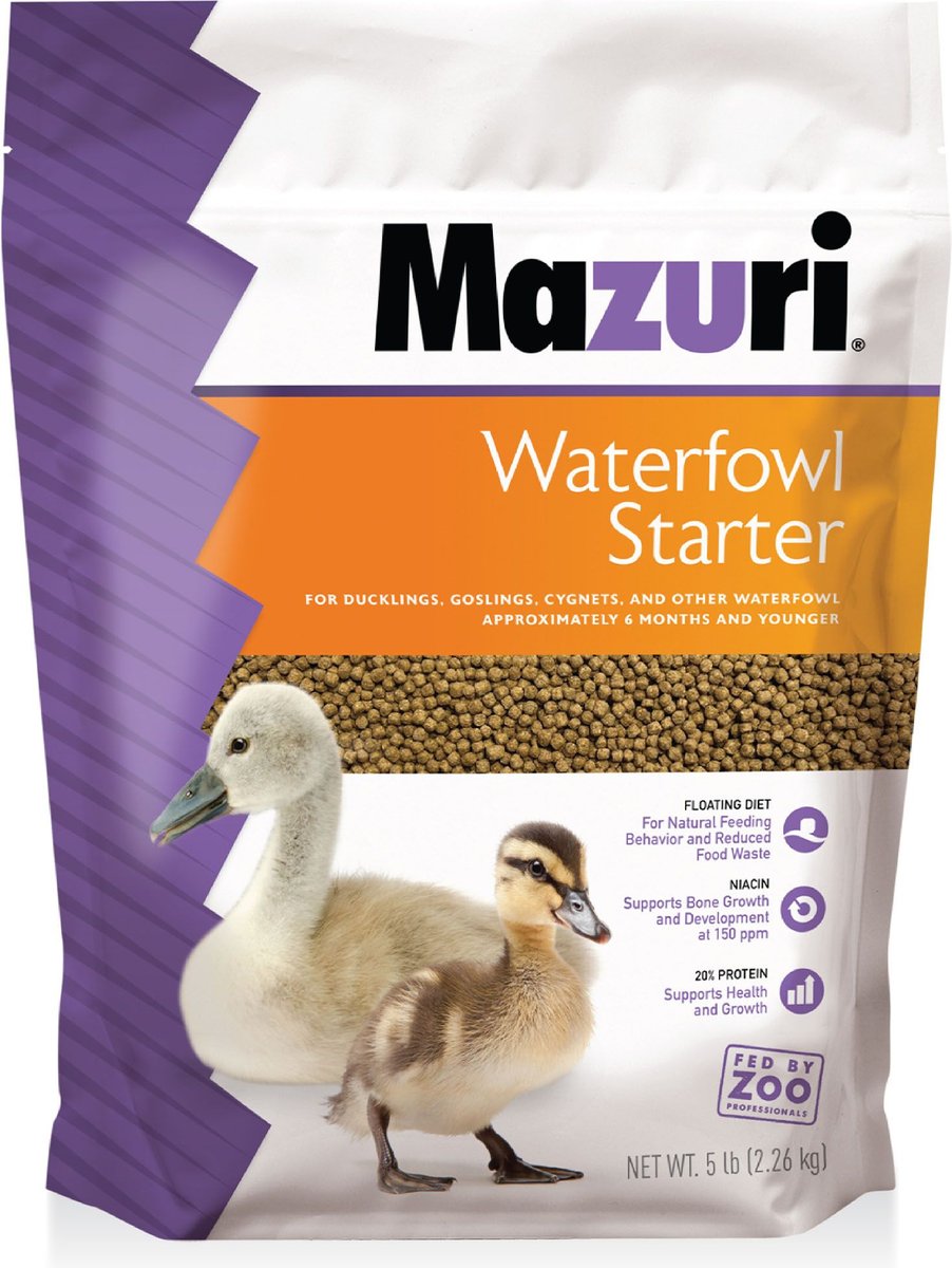 MAZURI Waterfowl Starter Floating Duckling & Gosling Food, 5-lb bag ...