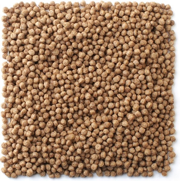 MAZURI Waterfowl Starter Floating Duckling & Gosling Food, 5-lb bag ...