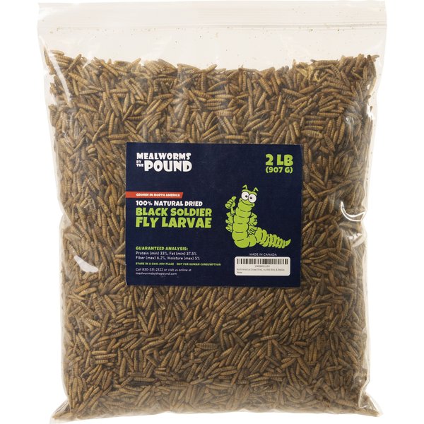 FICKLE FOWL Bag Fly Larvae Farm Treat, 10-lb bag - Chewy.com