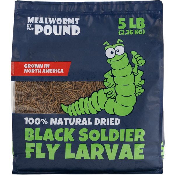 MEALWORMS BY THE POUND Black Soldier Fly Larvae Treat, 11-lb bag ...