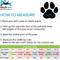 MEDIPAW Basic Dog & Cat Protective Boot, Medium - Chewy.com