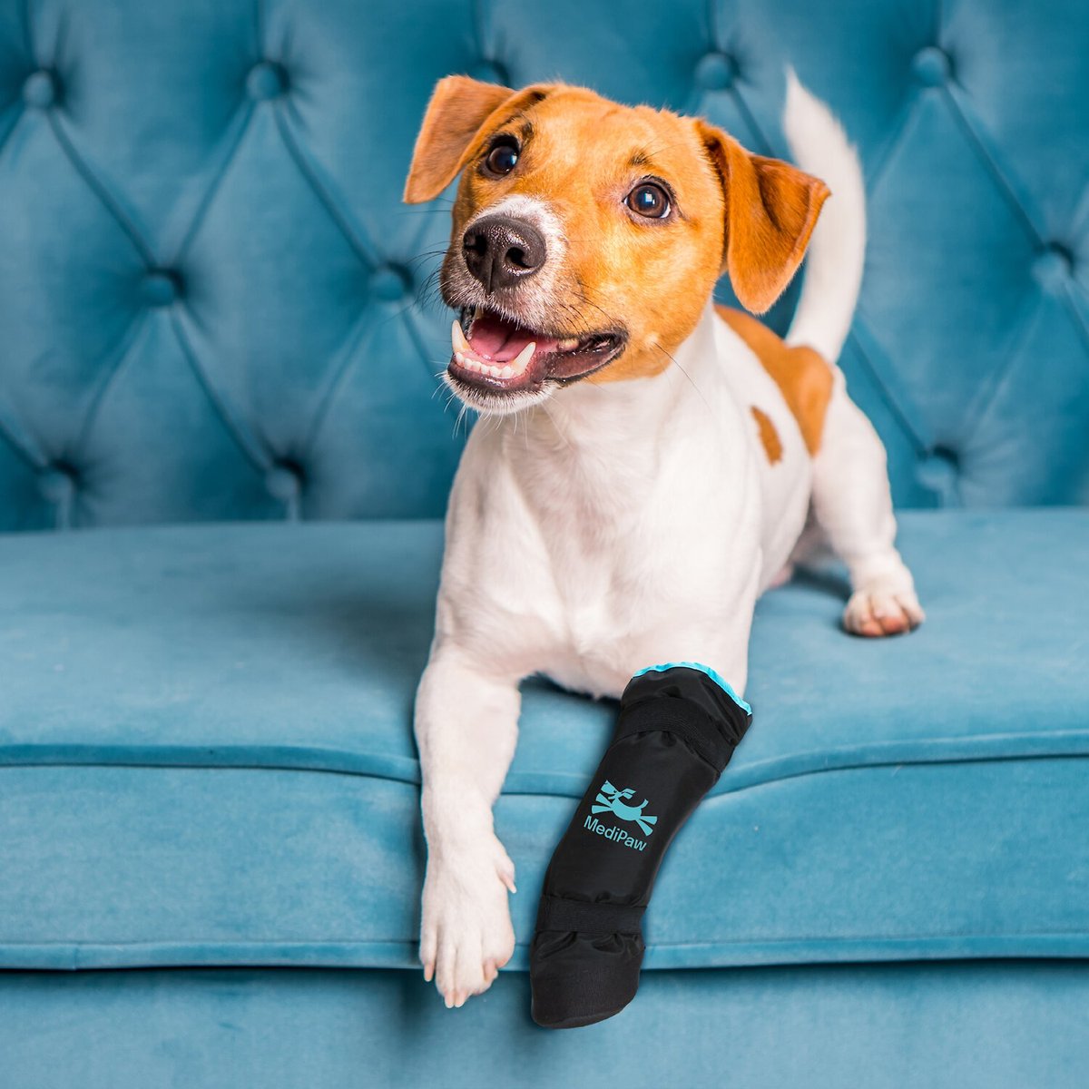 MEDIPAW Basic Dog & Cat Protective Boot, Medium - Chewy.com