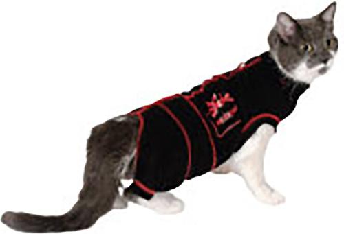 MEDIPAW Recovery Protective Cat Suit, Medium - Chewy.com