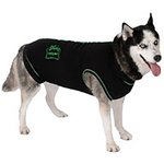 MEDIPAW Rugged Dog & Cat Protective Boot, Large - Chewy.com