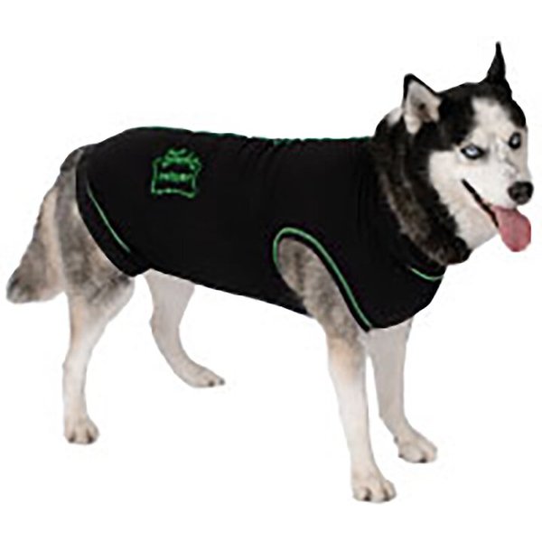 SURGI SNUGGLY Wonder Suit Post Surgical Healing Dog Suit, X-Large Short ...