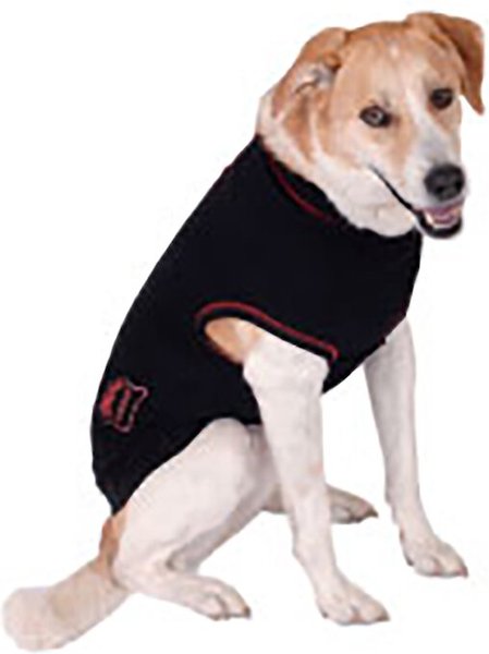 MEDIPAW Recovery Protective Dog Suit, Medium - Chewy.com