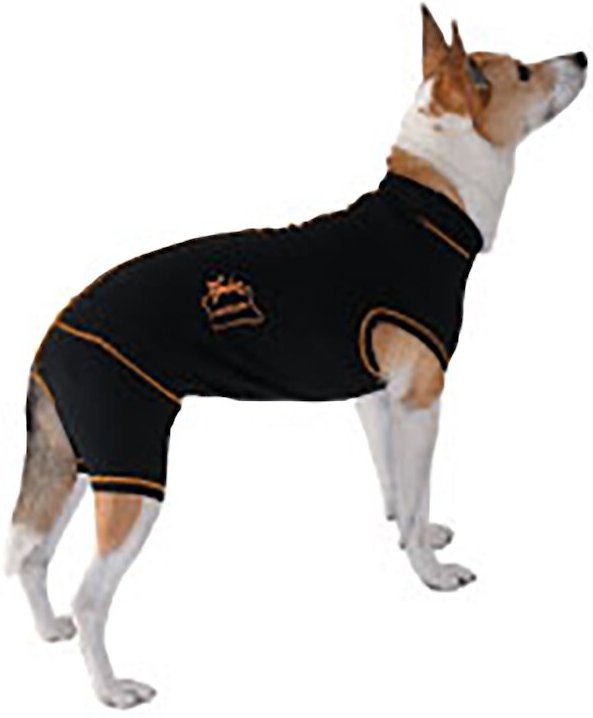 MEDIPAW Recovery Protective Dog Suit, Small Plus - Chewy.com