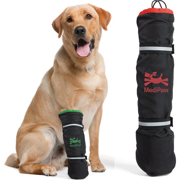 MEDIPAW Rugged Dog & Cat Protective Boot, X-Small2 - Chewy.com