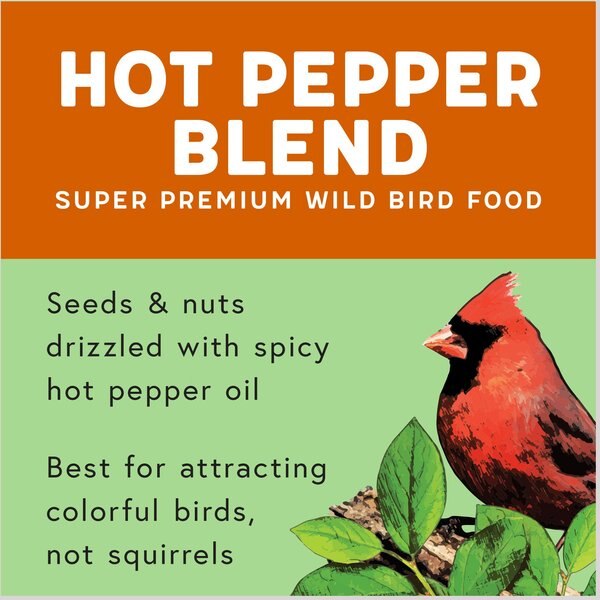MELODY SELECT Hot Pepper Blend Bird Food, 9-lb bag - Chewy.com