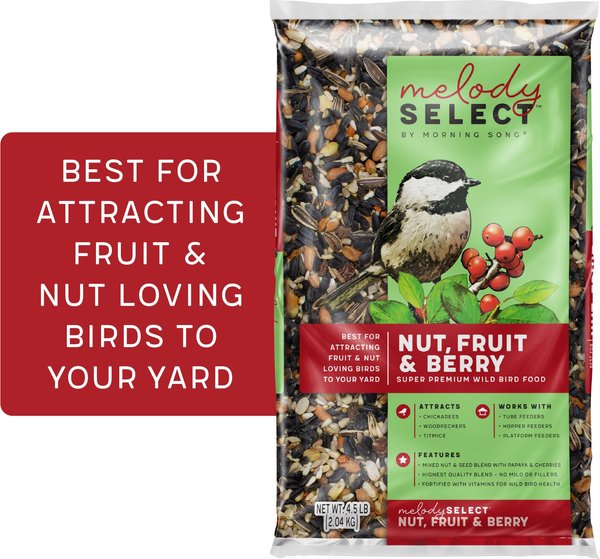 MELODY SELECT Nut Fruit & Berry Bird Food, 4.5-lb bag - Chewy.com