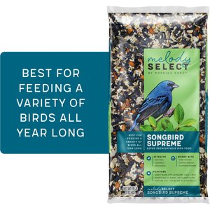 MELODY SELECT Songbird Supreme Bird Food, 8-lb bag - Chewy.com