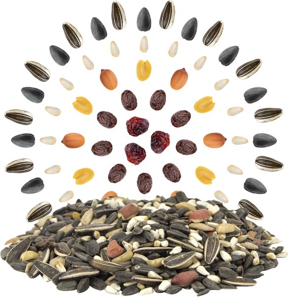 MELODY SELECT Songbird Supreme Bird Food, 8-lb bag - Chewy.com