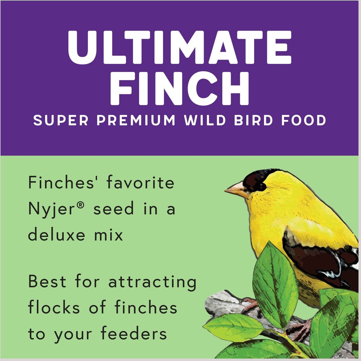 MELODY SELECT Ultimate Finch Bird Food, 5-lb bag - Chewy.com