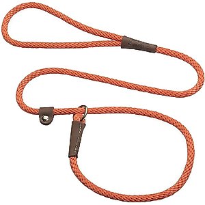 WATER & WOODS Braided Rope Slip Dog Leash, Safety Orange - Chewy.com