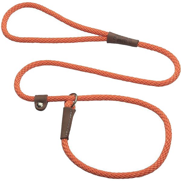 WATER & WOODS Braided Rope Slip Dog Leash, Safety Orange - Chewy.com