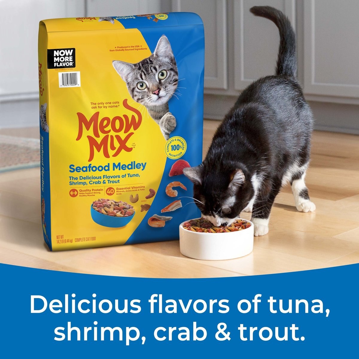 MEOW MIX Seafood Medley Dry Cat Food, 14.2-lb bag - Chewy.com
