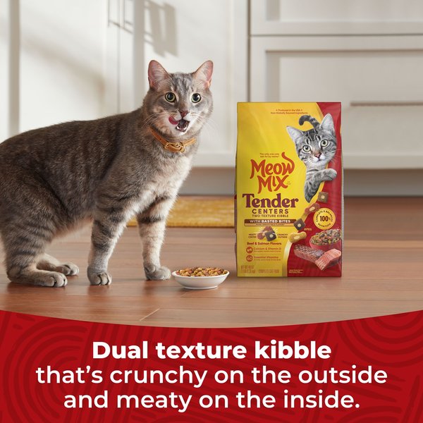 MEOW MIX Tender Centers Basted Bites Beef & Salmon Flavors Dry Cat Food ...