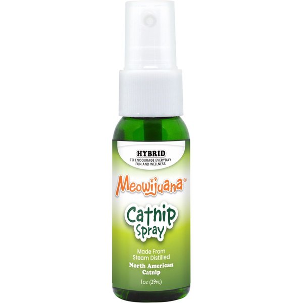 SMARTYKAT Catnip Mist Spray, 7-oz bottle - Chewy.com