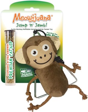 Catnip Toys - Page 16 (Free Shipping) | Chewy