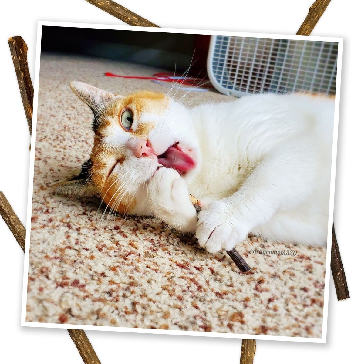 MEOWIJUANA King Sized Silvervine Cat Sticks, 6 count - Chewy.com