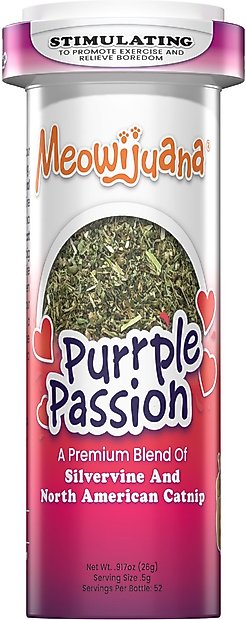 Catnip - Free Shipping | Chewy