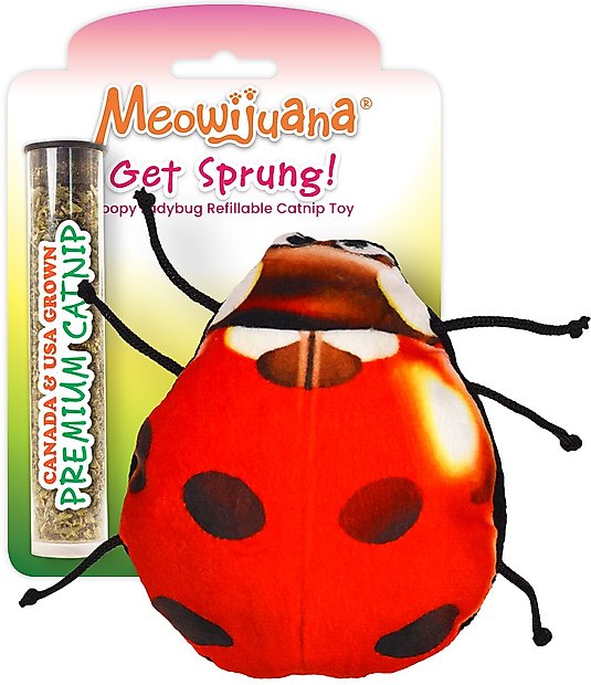 Meowijuana - Free shipping | Chewy