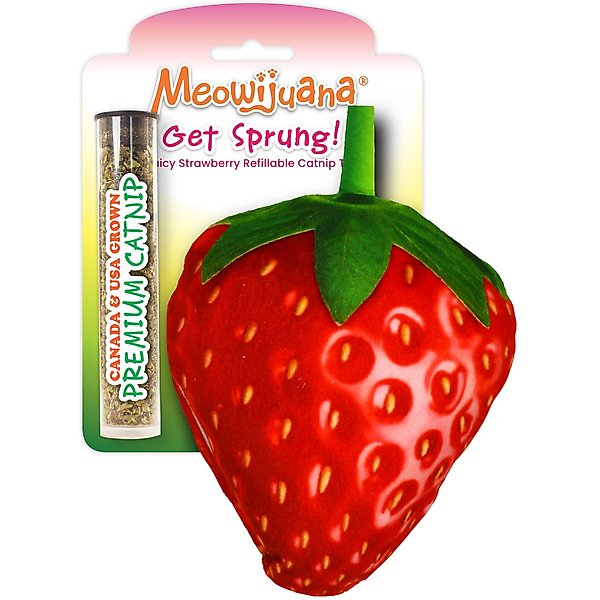 MEOWIJUANA Refillable Get Baked Catnip Cookie Cat Toy - Chewy.com